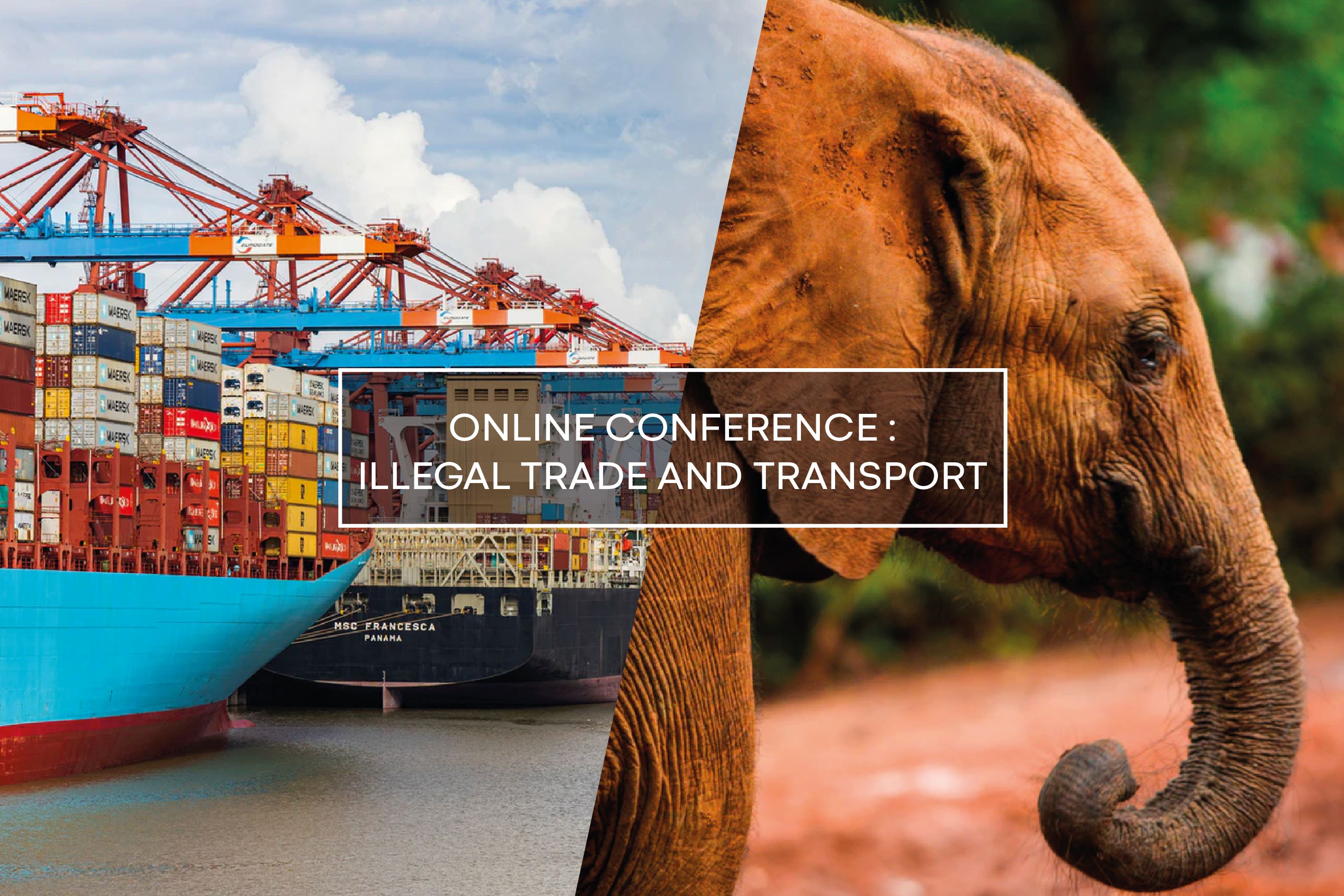 Online conference : Illegal Trade and Transport